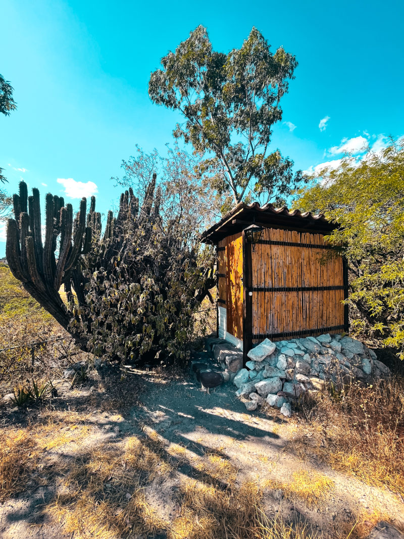 Casa Lyobaa, ilustrando un lugar de descanso | Arturo Canseco